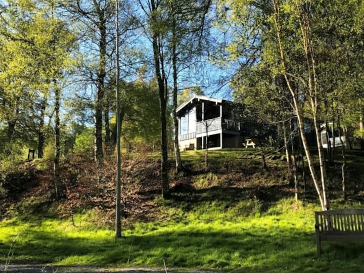 Maple Chalet 12 - Ukc5229 - Crieff