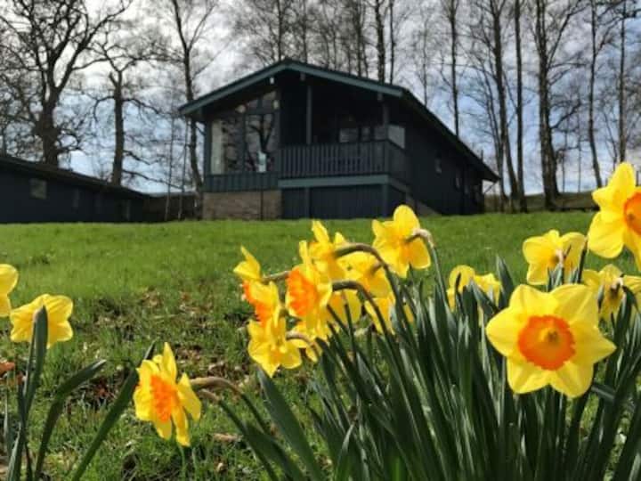 Maple Chalet 18 - Ukc5232 - Loch Tay