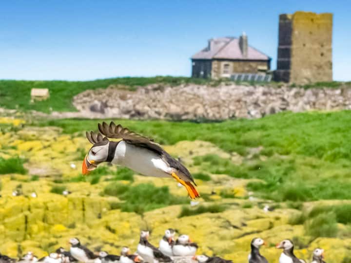 Fishermans Corner - Ukc5301 - Beadnell