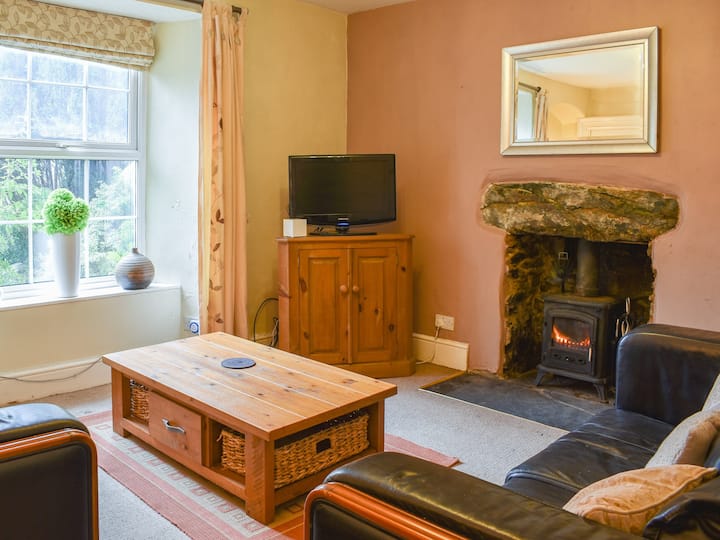 Sygyn - Ukc6651 - Beddgelert