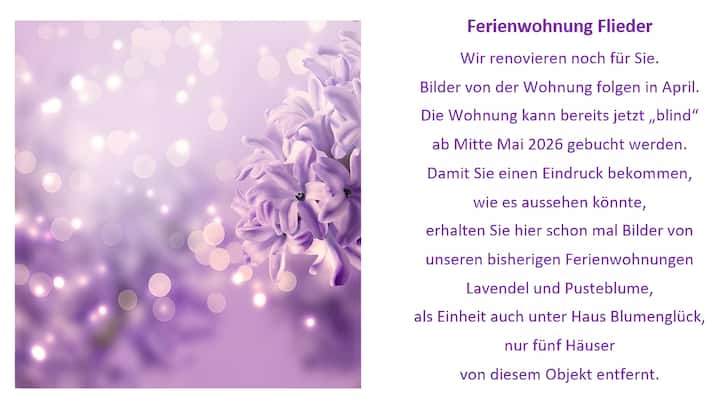 Ferienwohnung Flieder, 95 Qm - Meinerzhagen