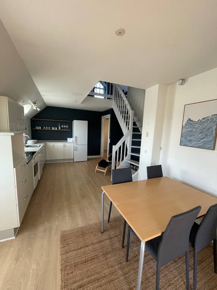 Odense Doublex Penthouse - Odense