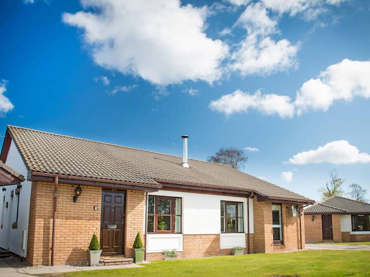 The Eagle - Ukc5055 - Moray