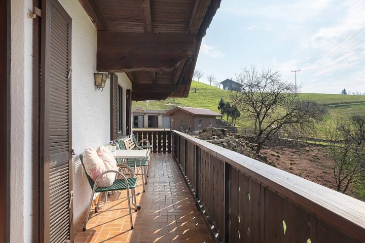 Ferienwohnung 4 - Oberharmersbach