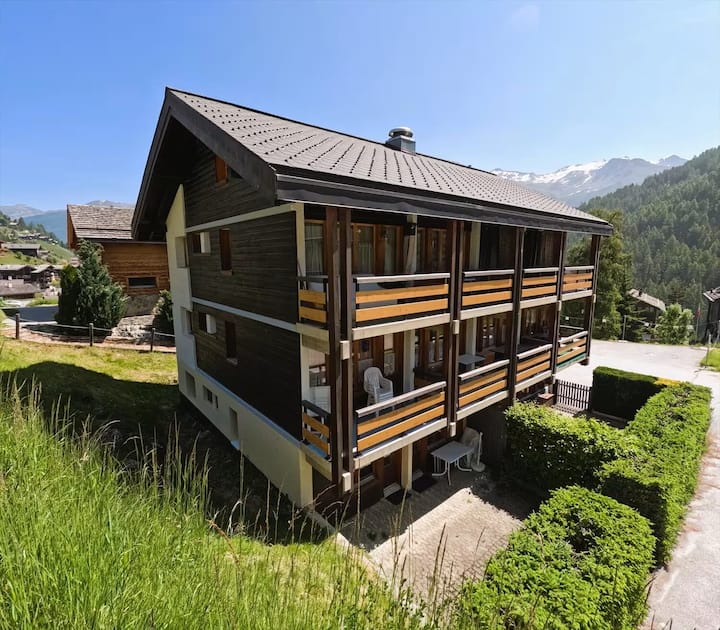 Erables 01 - Grimentz