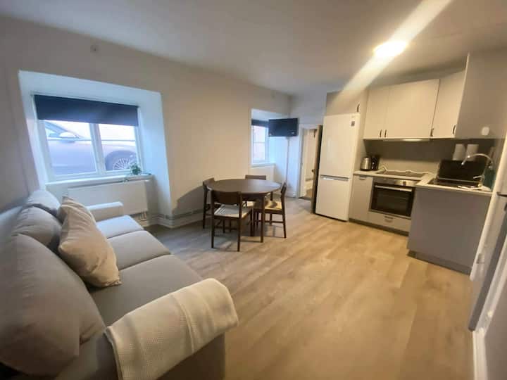 Newly Renovated 2 Brd Apt In Visby City - Visby