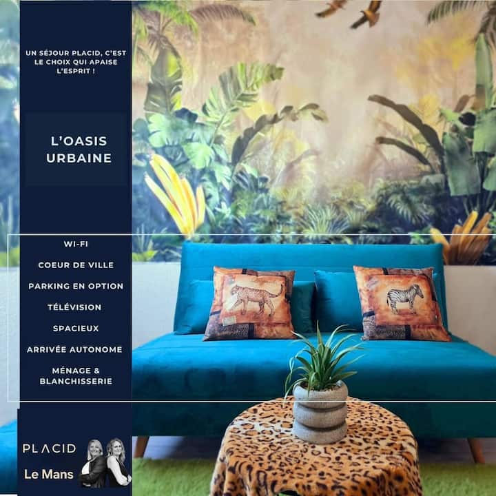 L'oasis Urbaine 2 – Centre-ville – Wi-fi - Le Mans