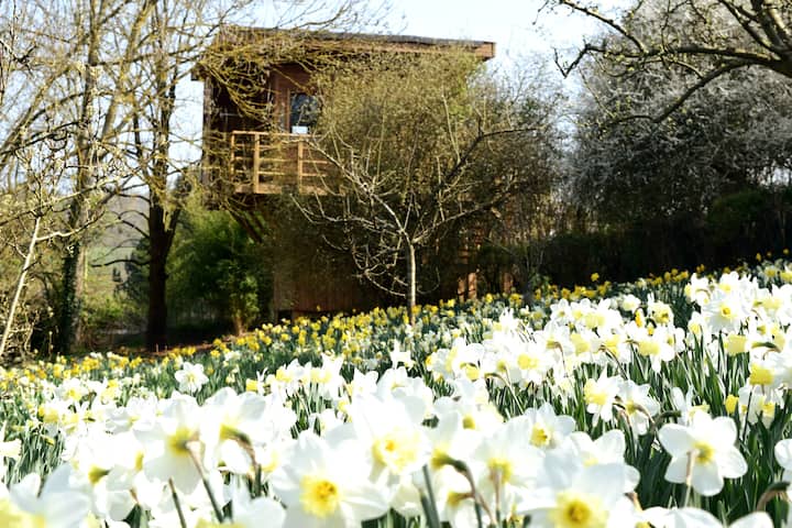 La Cabane Perchée - Magnanville