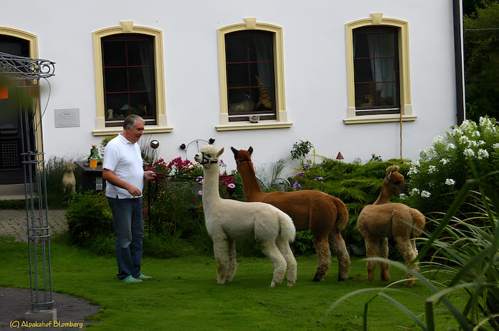 Alpakahof Blomberg - Meinerzhagen