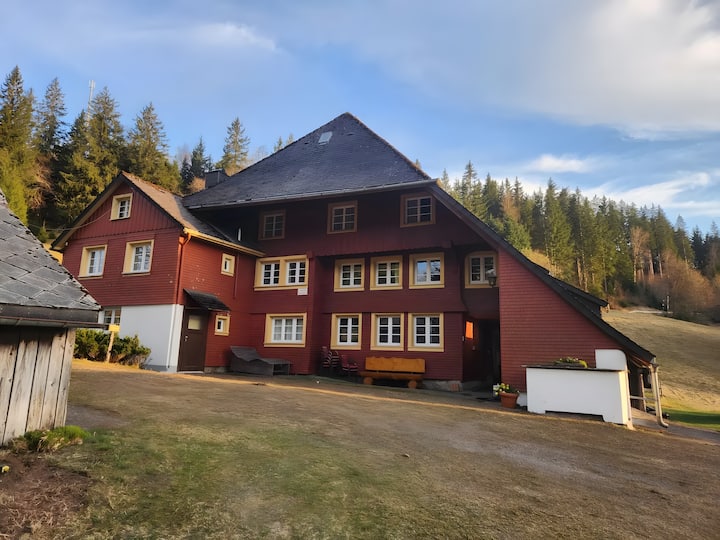 Alte Schmiede  2 Fewos - Feldberg