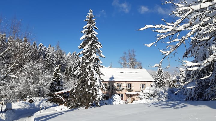Gîte De La Pieviche - Lusse