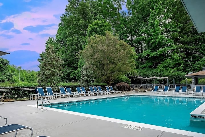 Discover Charlotte! Pets Allowed, Parking, Pools! - Charlotte, NC