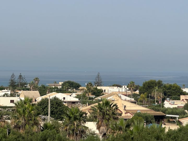 Ammare - Marsala