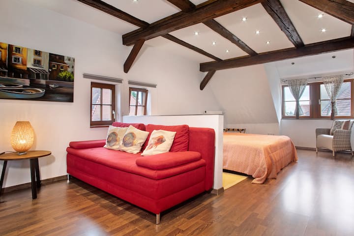 01 Suite Heustadel 66 Qm - Lago di Costanza