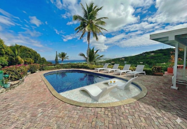 Flamingo Palms: A Pet-friendly Tropical Retreat - Kingshill