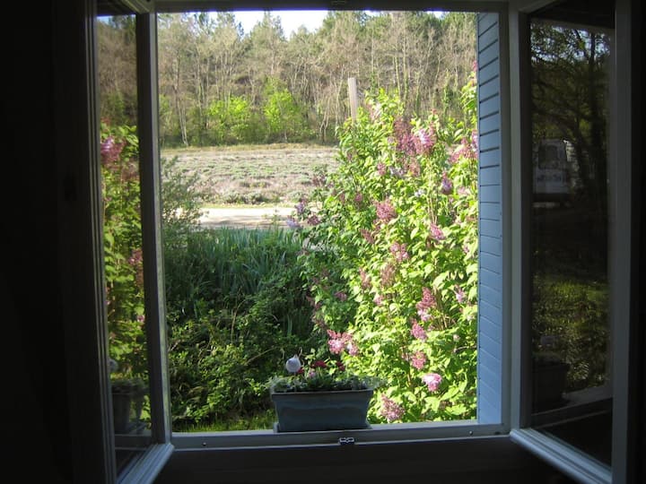 Les Théolats - 4 Personnes - Grignan