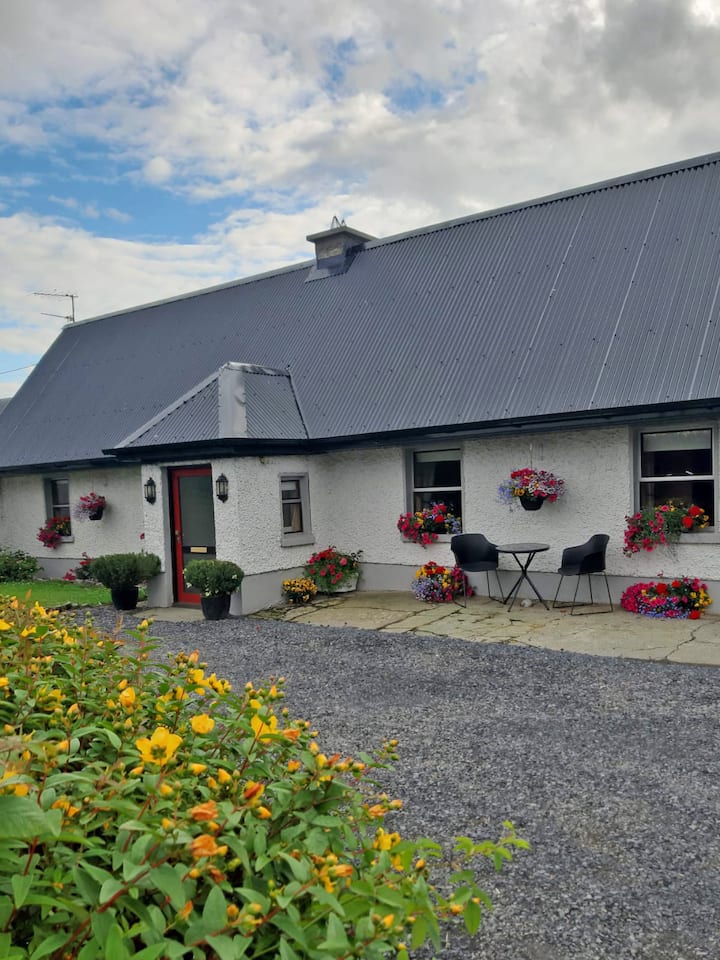 2 Bed In Port Laoise (Oc-ii10387) - Portlaoise