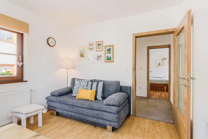 Apartment Nono Marjo - Bovec