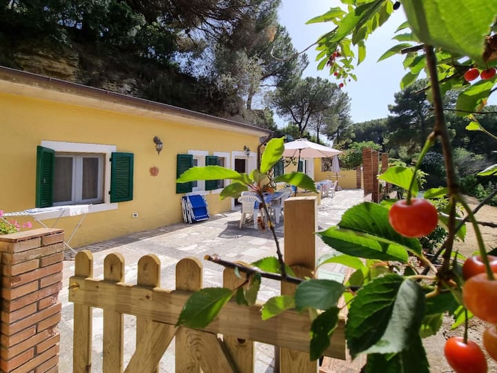 Elianto Goelba - Casetta 2 - Capoliveri