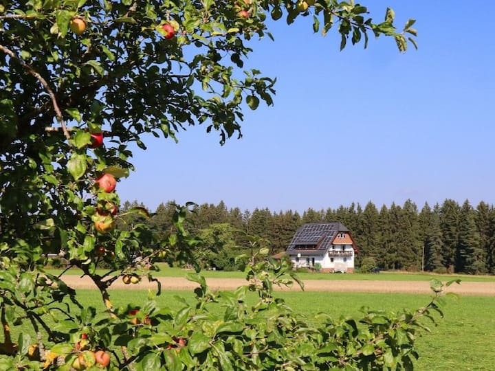 Ferienwohnung Beim Falkner, 60qm - Schramberg
