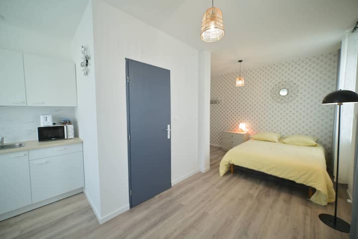 Confortable Studio - Mulhouse