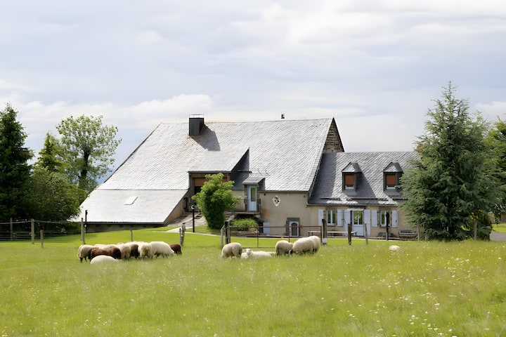 Gîte De La Poucinière - Mont-Dore
