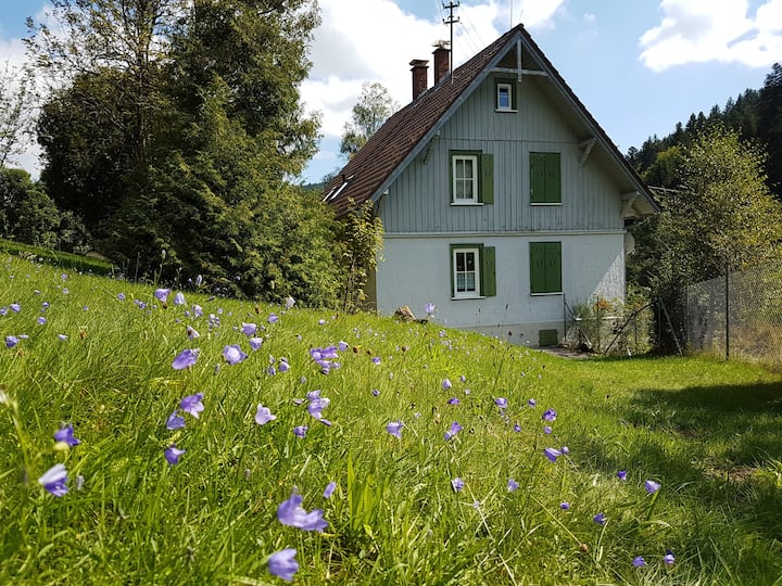 Natur Pur Im Nordschwarzwald - Bad Wildbad