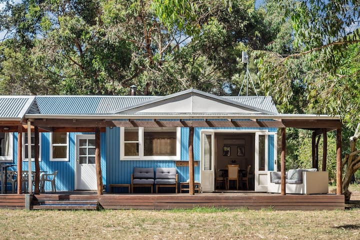 Calkarri Blue - Augusta