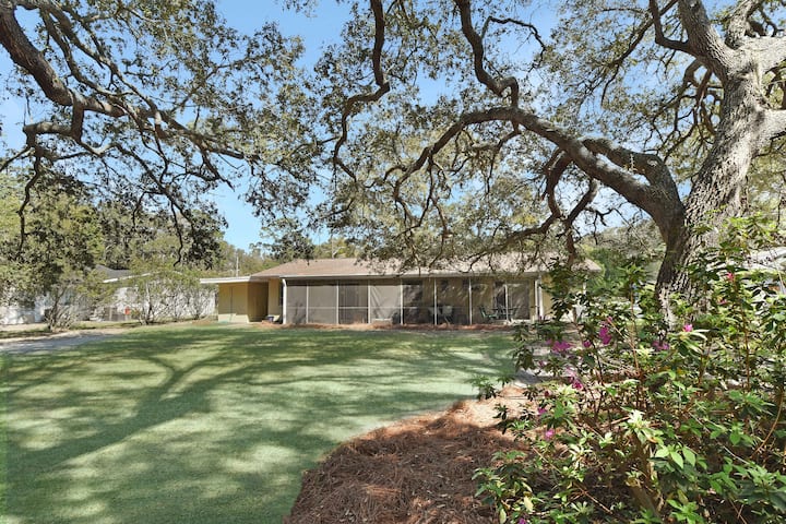 Beach Buzz - Jekyll Island, GA