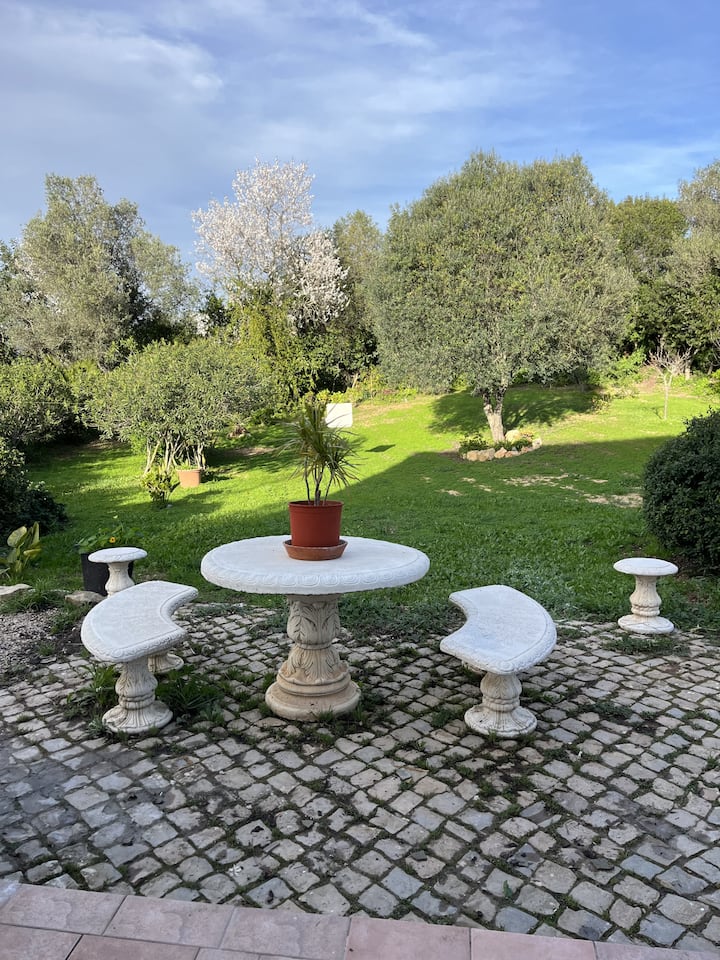 Casa No Limoeiro, Stylish Countryside Retreat Near - Loulé
