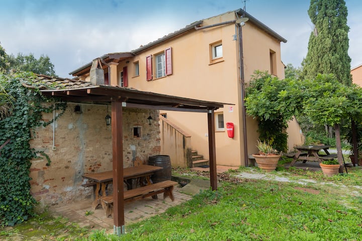 La Gatta E L'olivo - Casa Daria - Castagneto Carducci