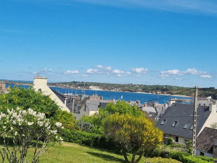Le Lannic - Vue Superbe Sur Le Port - Camaret-sur-Mer