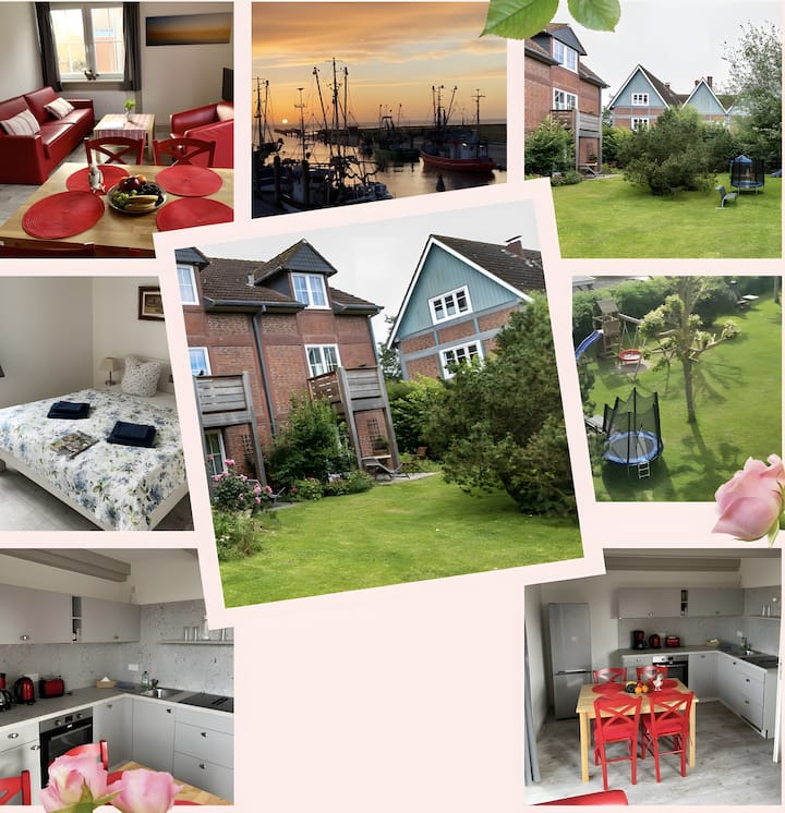 Schwarzes Schaf - Pellworm