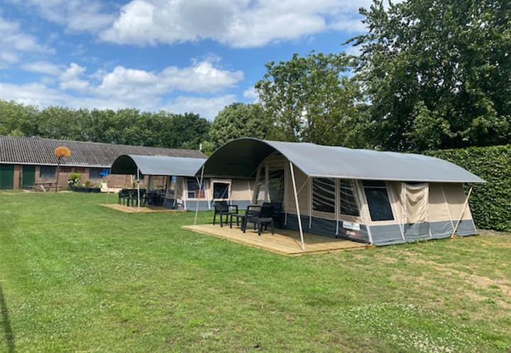 Minicamping De Lindenhoeve - Lodge Tent Hondje - Zeeland