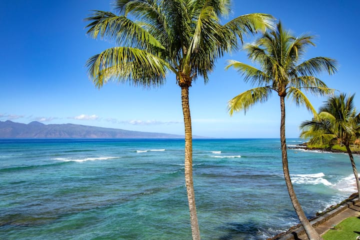 Lokelani | Free Car By Kbm | Ml-1289 - Maui