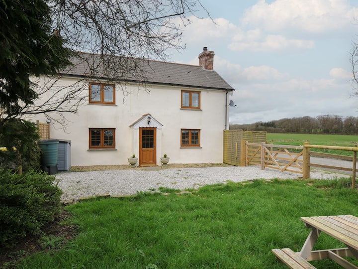 Little Blagdon - Holsworthy