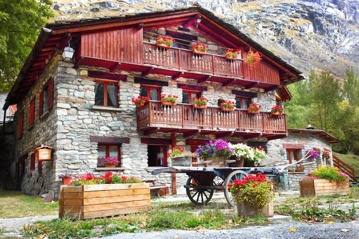 Les Narcisses - Bonneval-sur-Arc