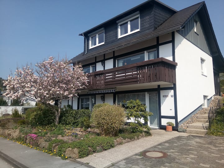 Fewo Magnolie Inkl Meine Card Plus - Willingen (Upland)
