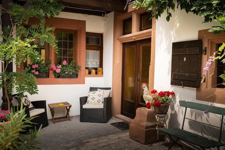 La Glycine - 55m² - Wissembourg