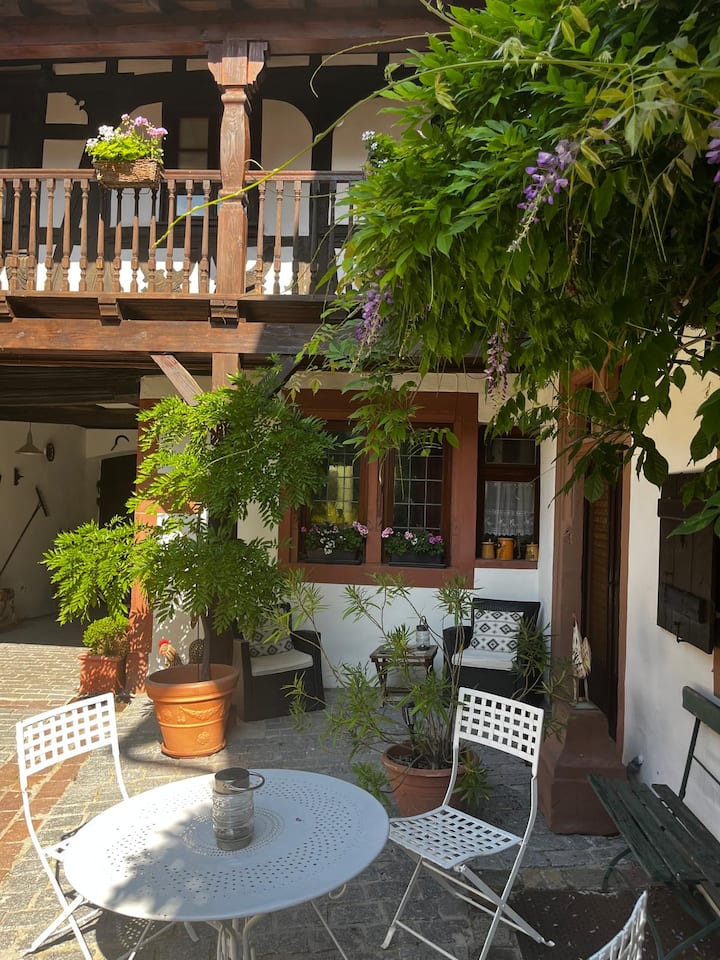 L'hortensia - Wissembourg