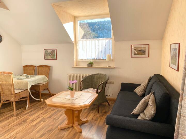 Ferienappartment A - Schramberg