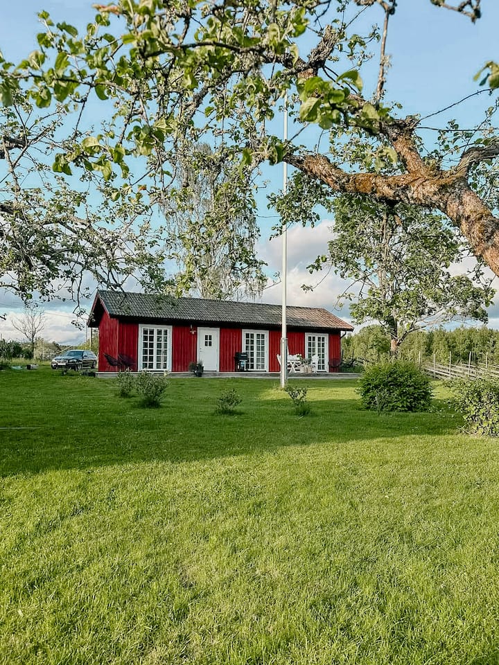 House By Stream With Jetty And Apples In Löa - Kopparberg