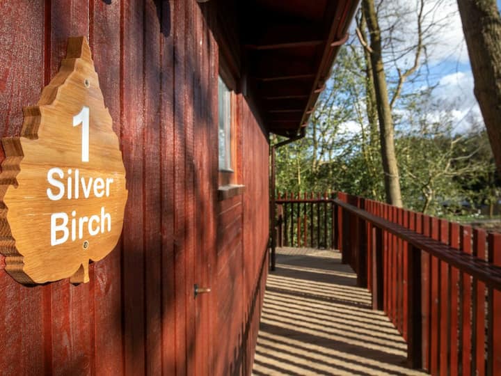 Strathyre New Style Silver Birch Cabin, Callander - カランダー