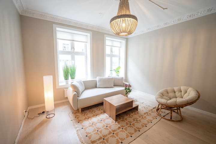 Stilig Og Sjarmerende Leilighet Sentralt I Oslo - Oslo