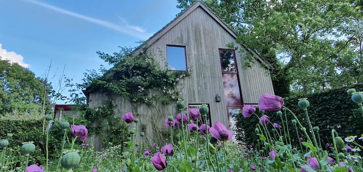 Gehele Erf - Harlingen