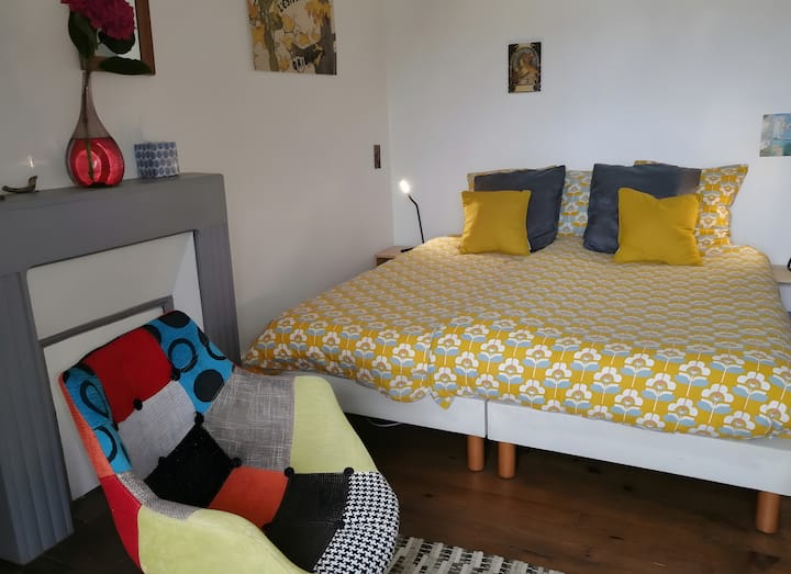 Vue Mer Et Nature à Douarnenez - Douarnenez