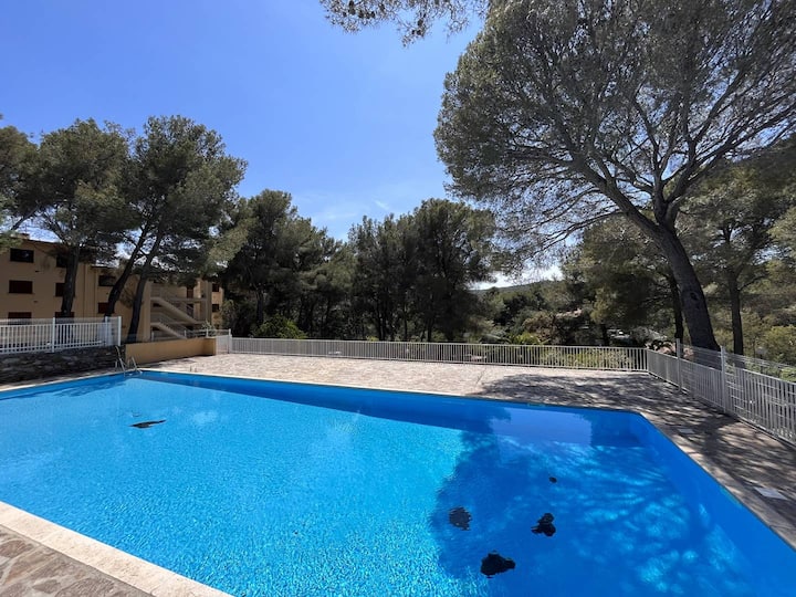 Spacieux Deux Pièces Dans Résidence Les Parcs Du S - Le Lavandou