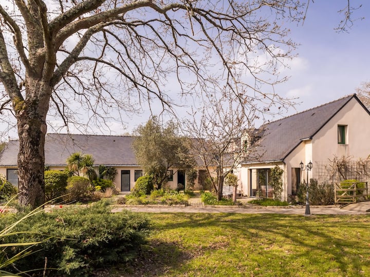 Chambre Avec Terrasse Privative - La Baule-Escoublac