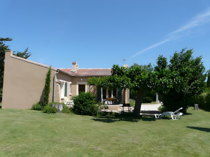 Le Saule - Cavaillon