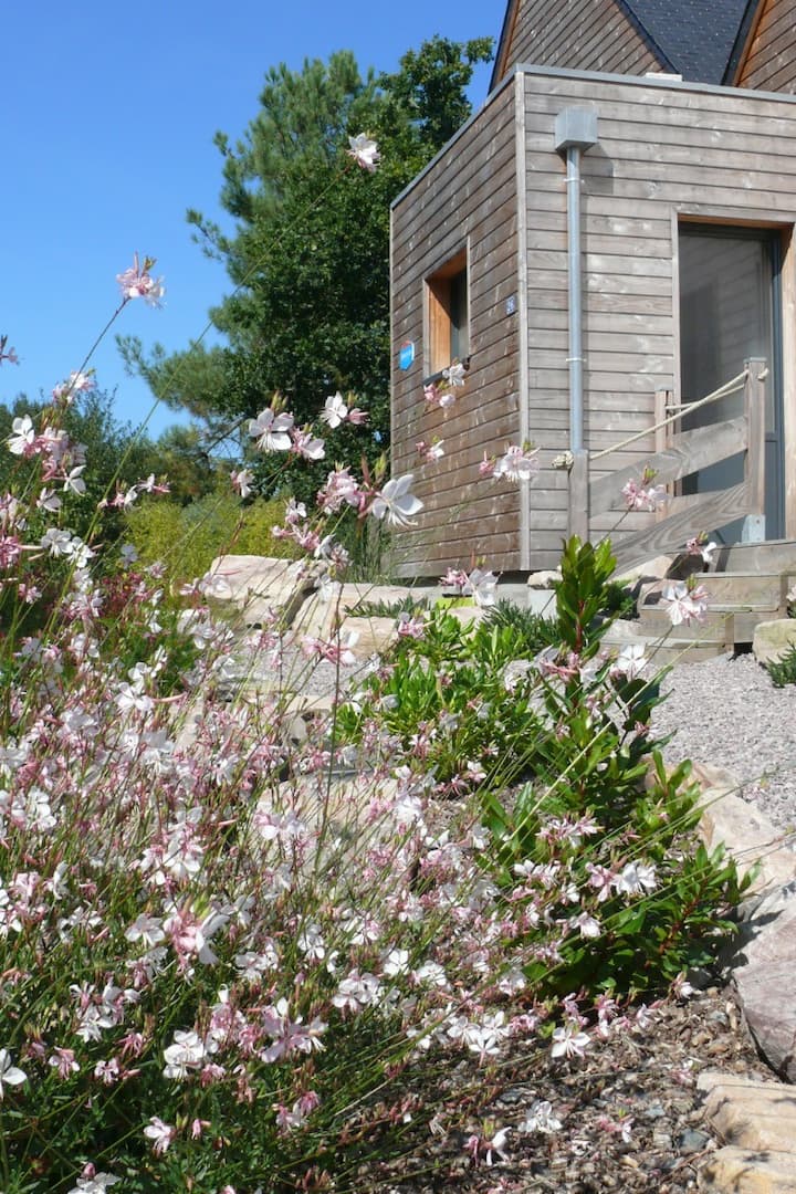 Au Grès Des Pins - Erquy